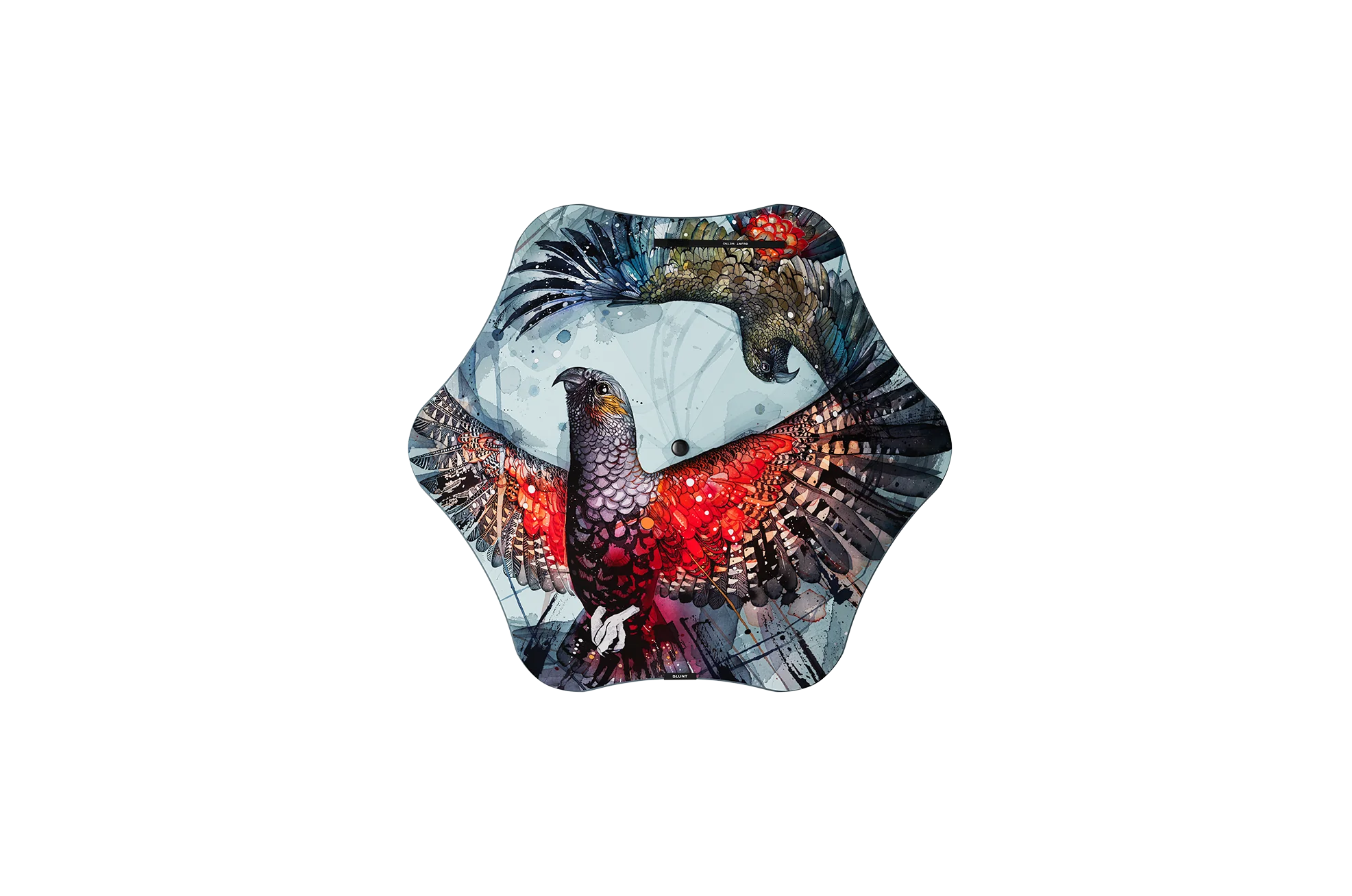 Shop | Strangely Normal | Bespoke Clothing | Made in New Zealand