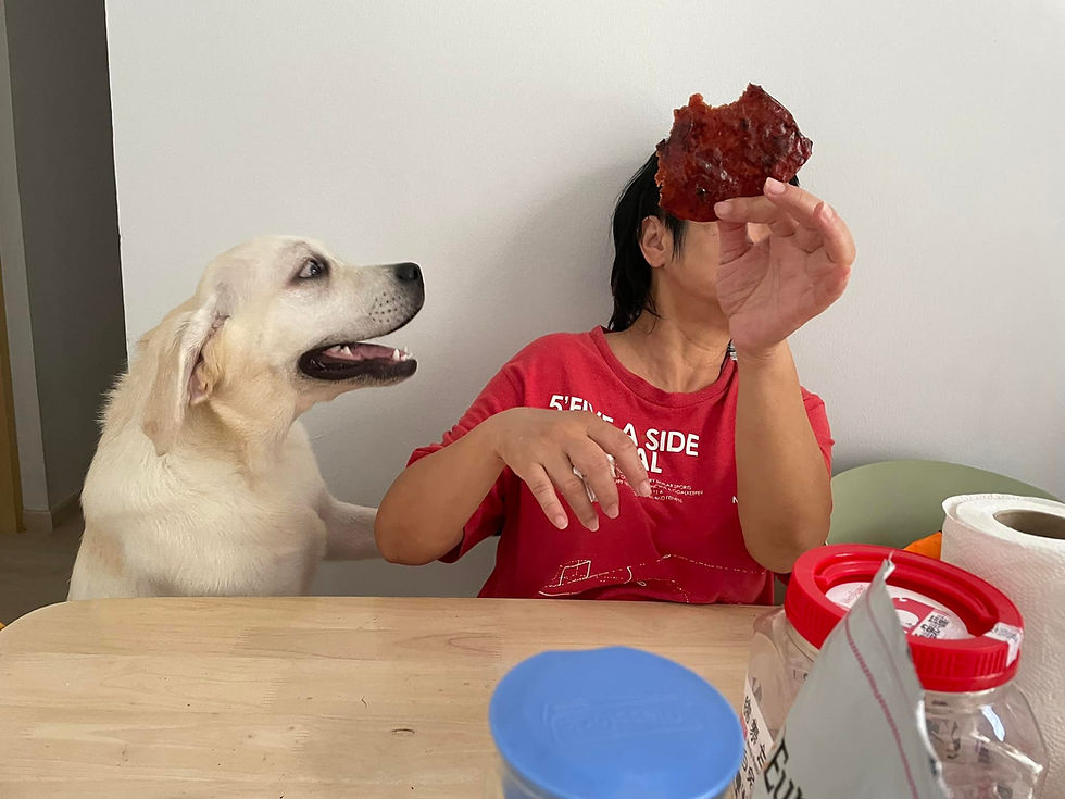 Well Bred V.S. Poorly Bred and Mixed Breeds