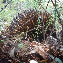 Len Waters Tours - Home