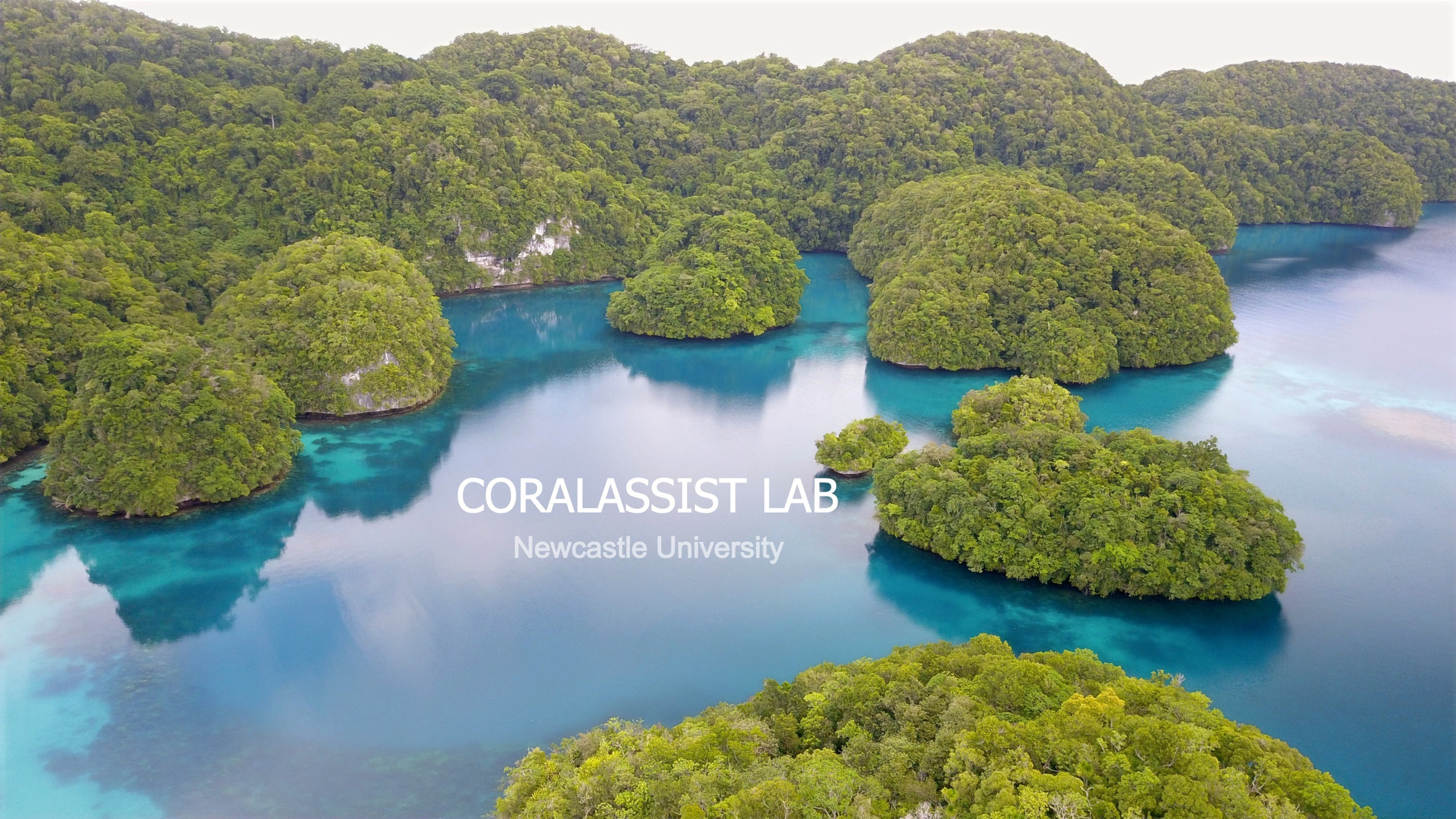 James Guest | Coralassistlab