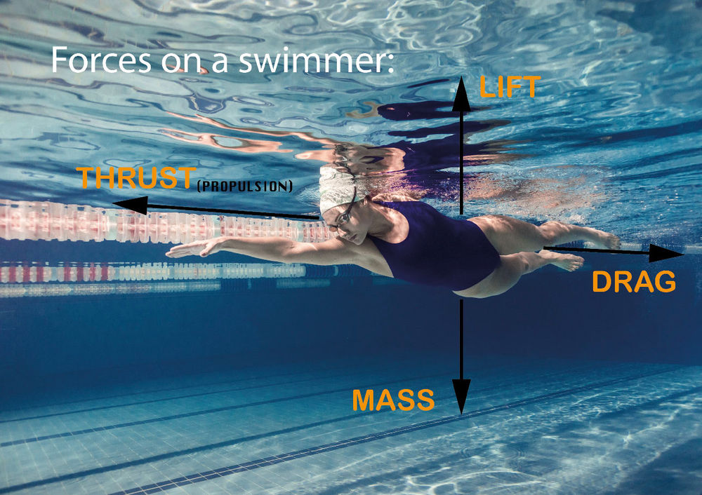Some science of swimming