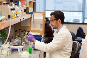 Classifying Brain Microglia: Vector Feature