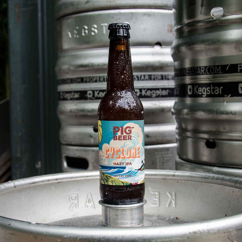 Buy Online Direct from the Brewery | PIG BEER