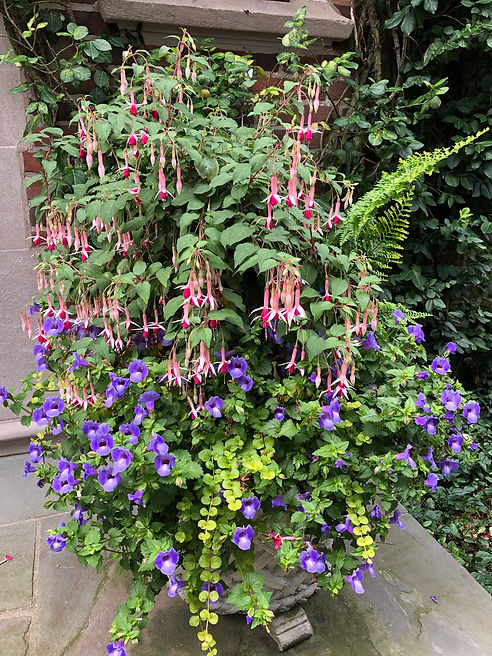 Horticultural Services | A Finer Touch