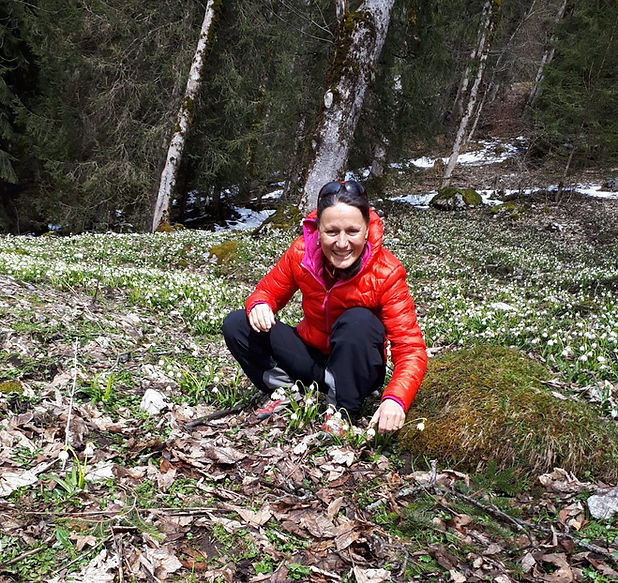 Home | NaturRitualeRäuchern | Schweiz
