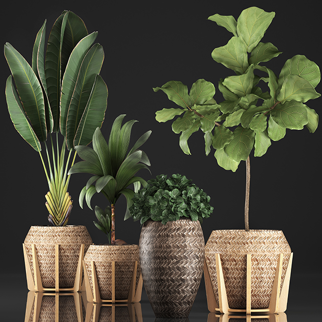 MODELOS HIGH POLY FREE