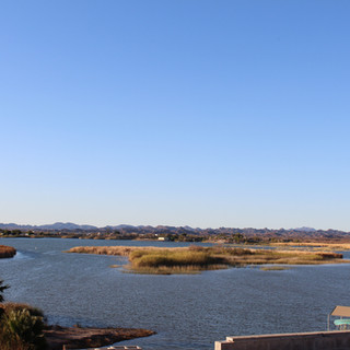 Photo Gallery | MLR main site