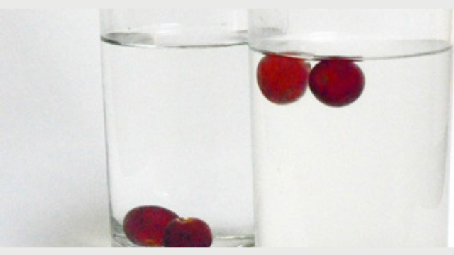 The water density experiment