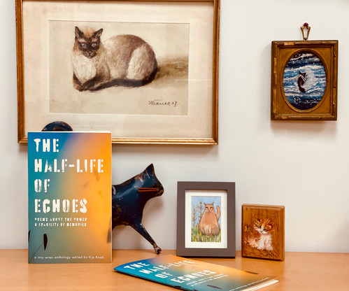 The Half-Life of Echoes | Tiny Wren Lit