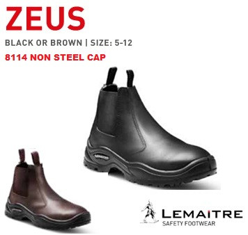 Lemaitre Zeus 8114 NON STEEL CAP | Safety Corp