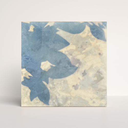 Summer Shadows (no. 5) | Helen Dannelly