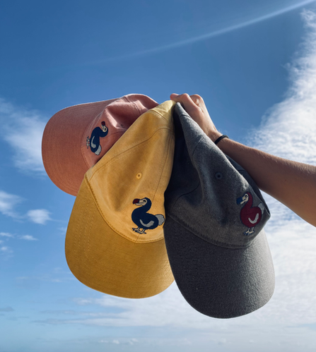 Cap Dodo - mur 1400 | Brabant