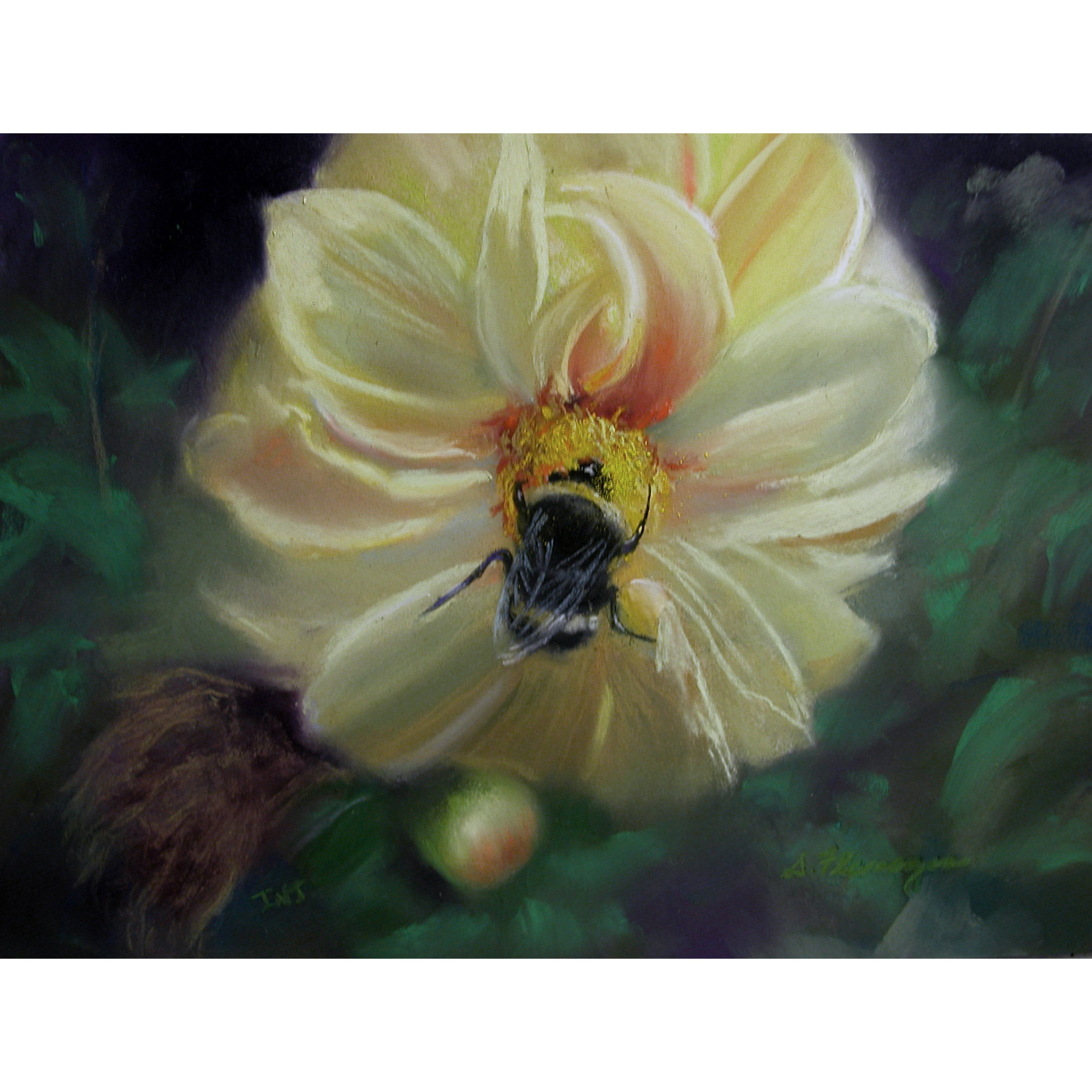 Susan Flanagan | Frankfort Arts Assoc