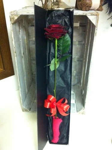 Flower Delivery | Send Flowers | Rolfes The Florist | Cardiff