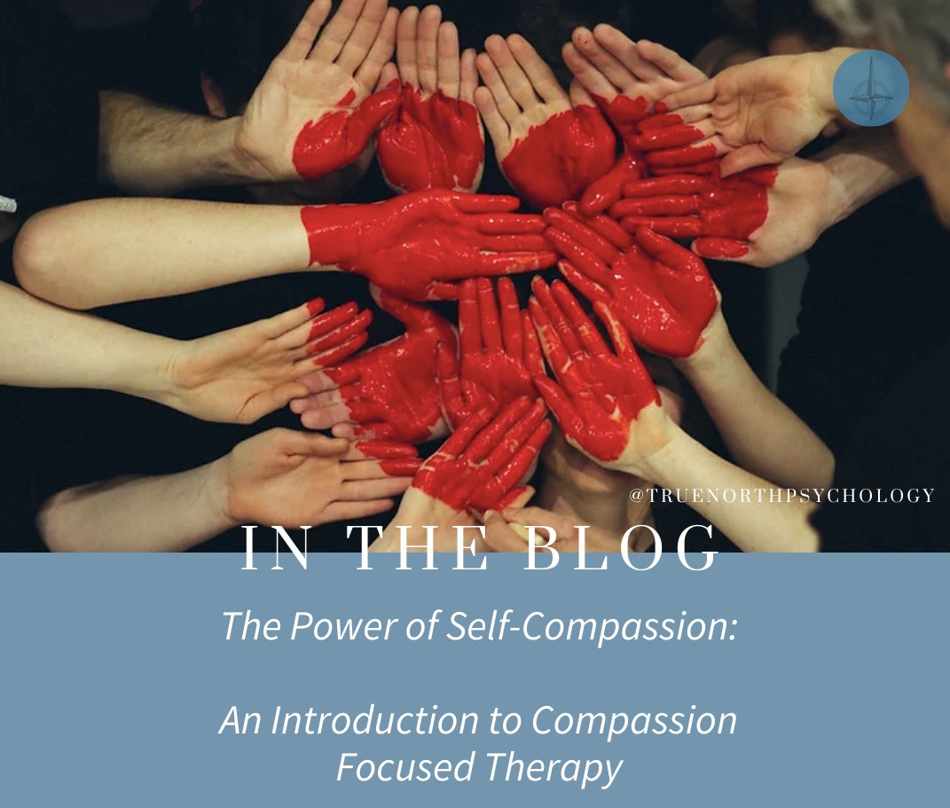 The Power of Self-Compassion: An Introduction to Compassion Focused Therapy