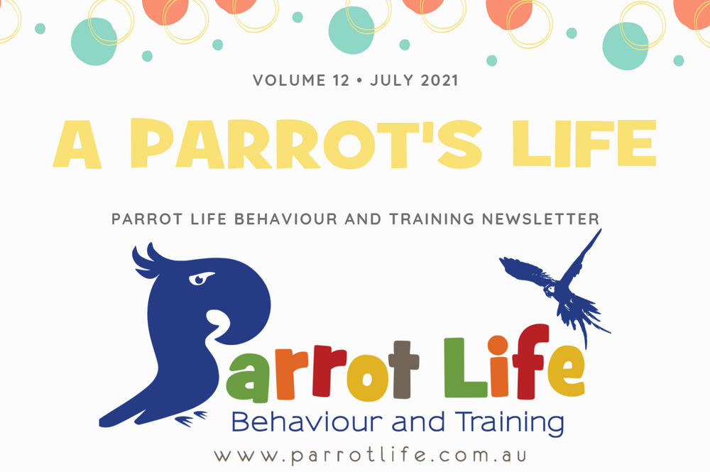 Parrot Life Newsletter July 2021