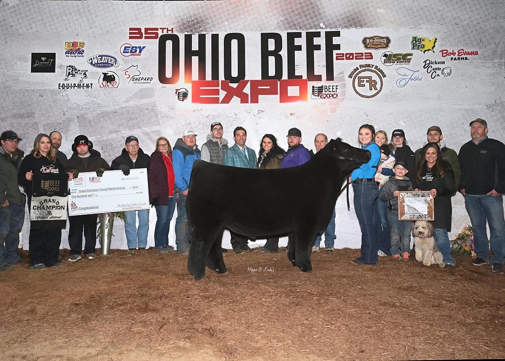 CHAMPION OVERALL MARKET ANIMAL OHIO BEEF EXPO SIRED BY HIA