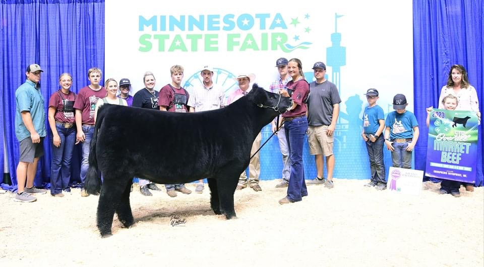 FIFTH OVERALL MARKET ANIMAL MINNESOTA STATE FAIR SIRED BY WTW