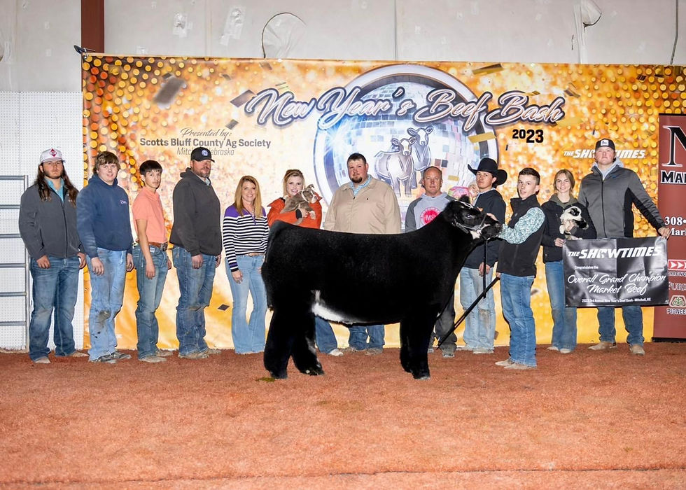 CHAMPION OVERALL MARKET ANIMAL NEW YEARS BEEF BASH SIRED BY HIA