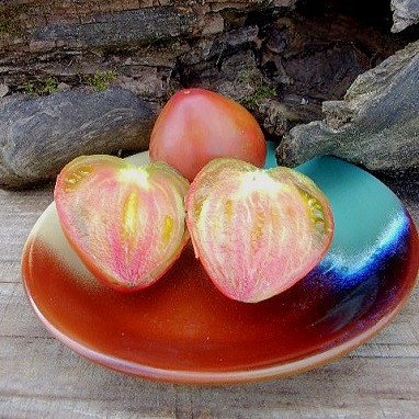 TRUE COLOURS | tomatogalaxy