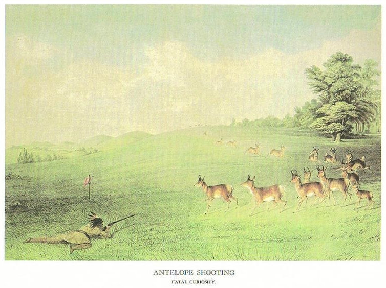 "THE WEST - ANTELOPE SHOOTING" Artwork by Currier & Ives