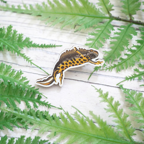 Great Crested Newt Wooden Pin | Silverpasta Crafts
