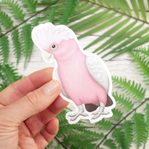 Galah Vinyl Sticker | Silverpasta Crafts