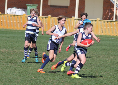 Home | Muswellbrook Cats AFC