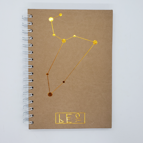 Libreta Leo | Rosa Mexicano