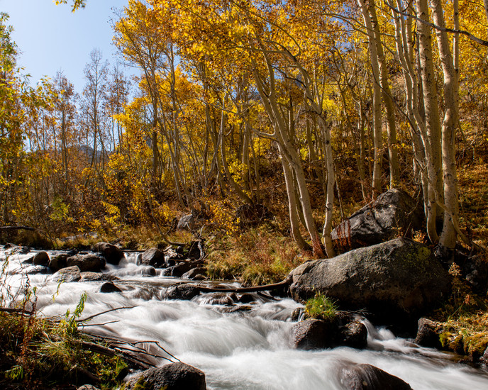 Portrait Photographer | Engstrom Photography | United States