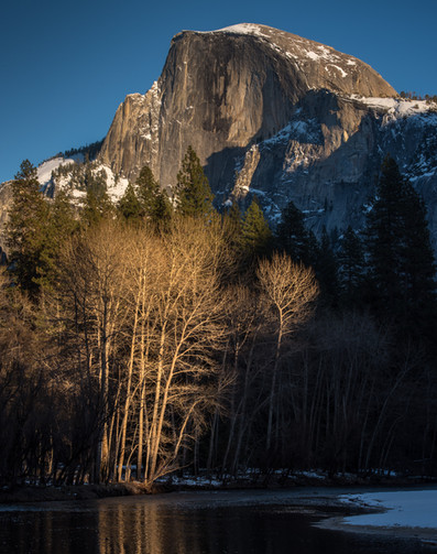 Portrait Photographer | Engstrom Photography | United States