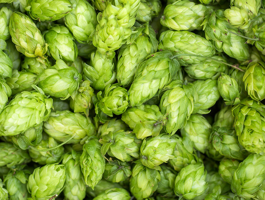 PROFESSIONAL DISTILLING COURSES | Brewing & Distilling Center ...