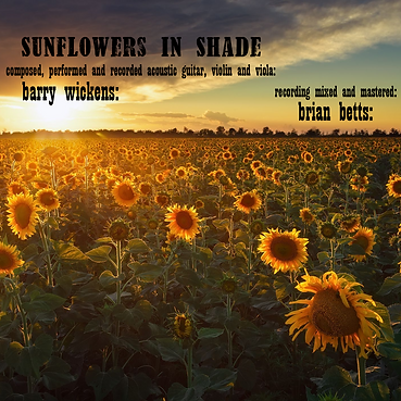 Music Downloads | Barry Wickens -multi-instrumentalist- Musician