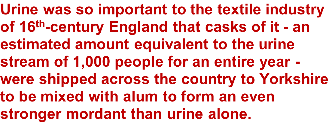 Dispelling Some Myths: Romans cleaned their teeth with Urine