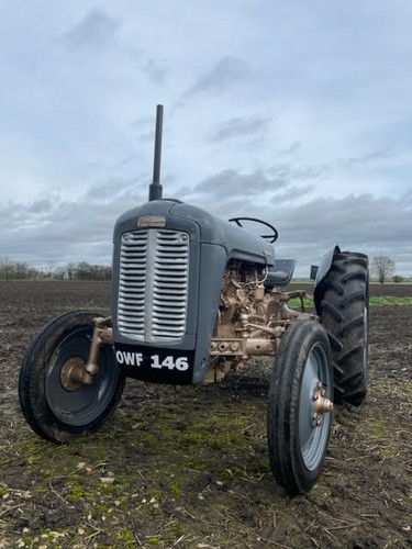 1957 Ferguson FE35 grey gold tractor | My Site 1