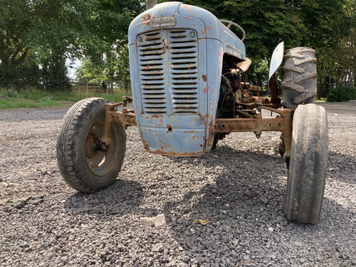 Ferguson FE35 grey gold tractor | My Site 1