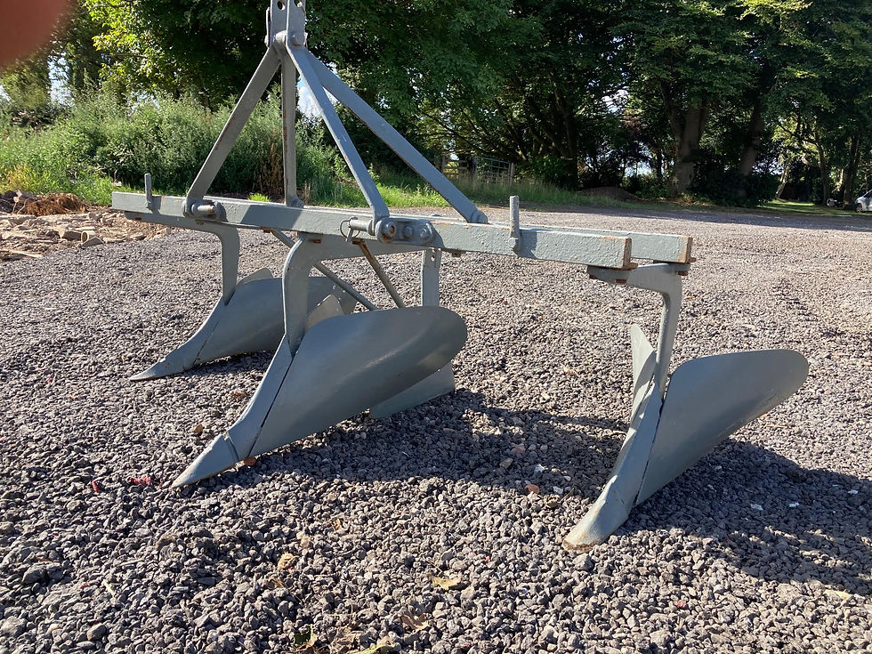 Ferguson ridger | My Site 1