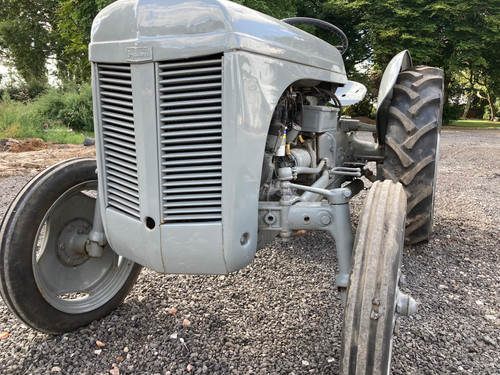 Ferguson vineyard tractor | My Site 1
