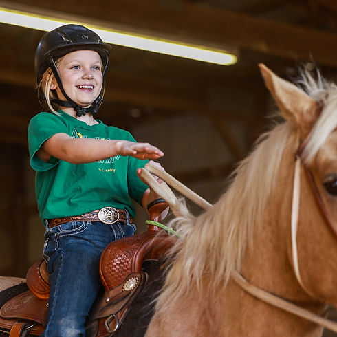 Western Riding Lessons | Red Horse Training | Waddy