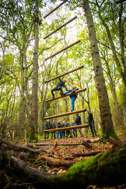Treetop Challenges, Jacob's Ladder, Crate Stack, Tree Climbs