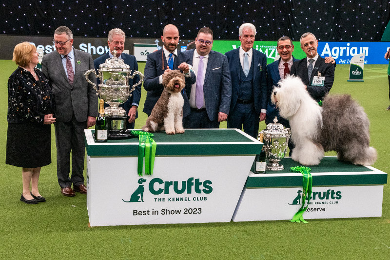 Crufts Success!