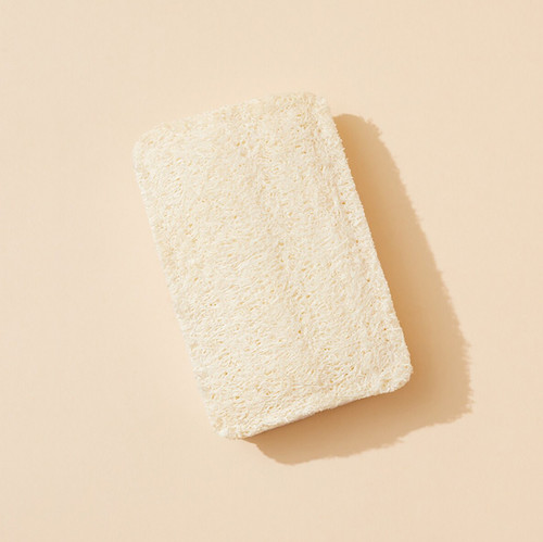 Loofah Sponge Scourer Sustainable Kitchen Dishwashing | 2 Pack | Leaffy