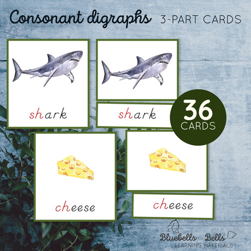 Digraphs 3-part cards. Consonant digraph Montessori printable ...