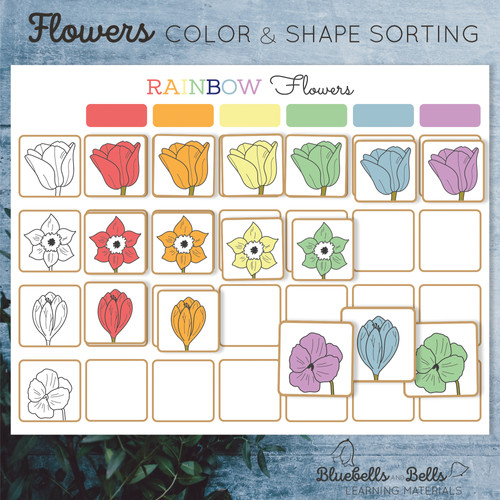 Flower printable Color and Shape sorting activity. | Bluebellsandbells