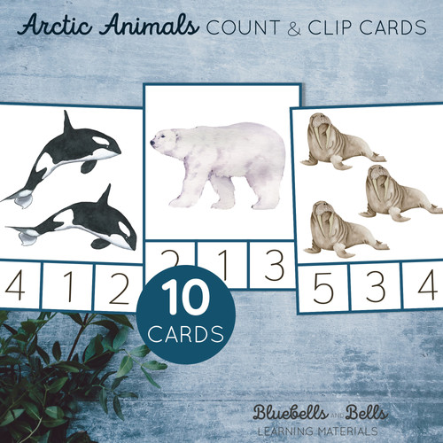 Arctic animals Preschool printable Count and clip cards | Bluebellsandbells