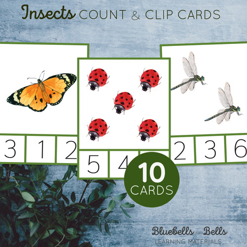 Insect Preschool printable Count and clip cards 1-10 | Bluebellsandbells