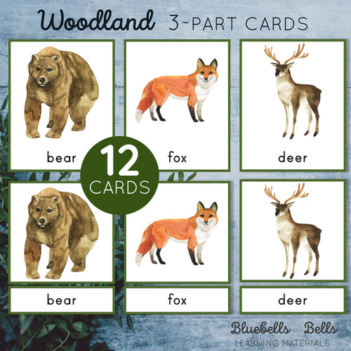 Woodland animals Montessori 3-part cards printable | Bluebellsandbells