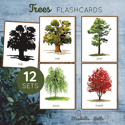 Trees identification flashcards and shadow matching cards ...