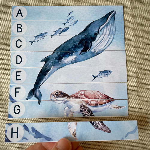 Ocean puzzle Alphabet sequence. ABC order preschool printable ...