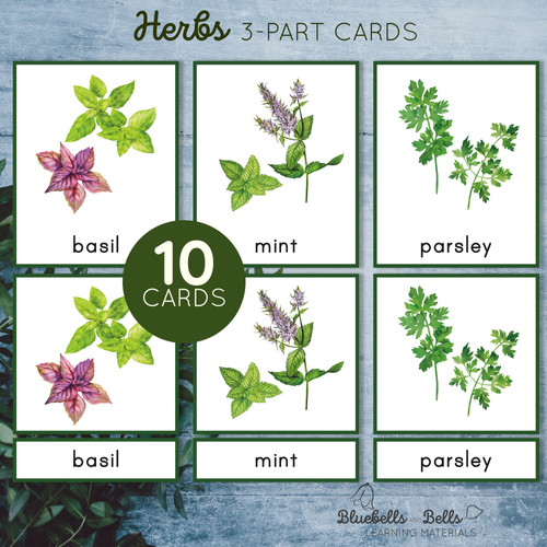 Herbs Montessori 3-part cards | Bluebellsandbells